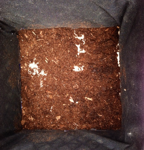 DIY: Compost Bin | Blissfulbritt